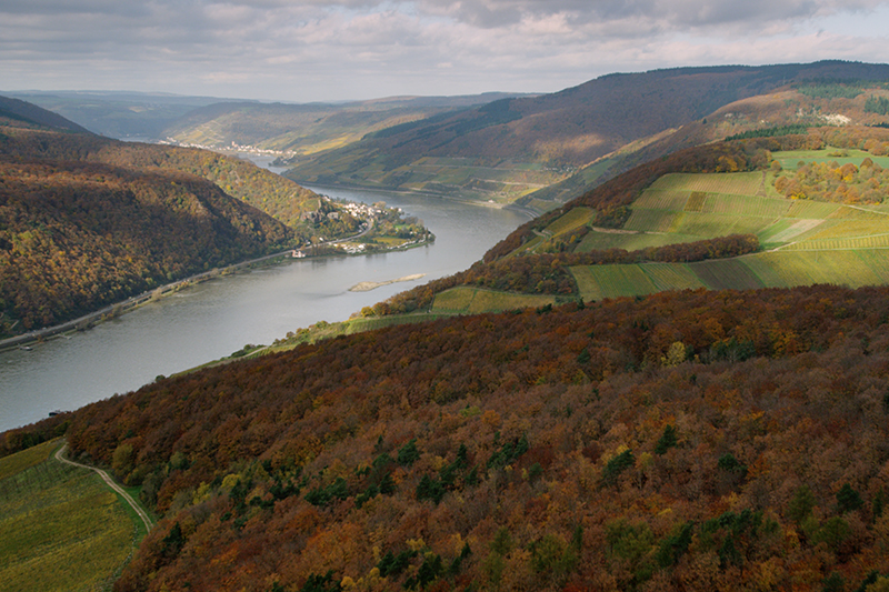 Valle du Rhin Cite du vin – FrenchWineLove