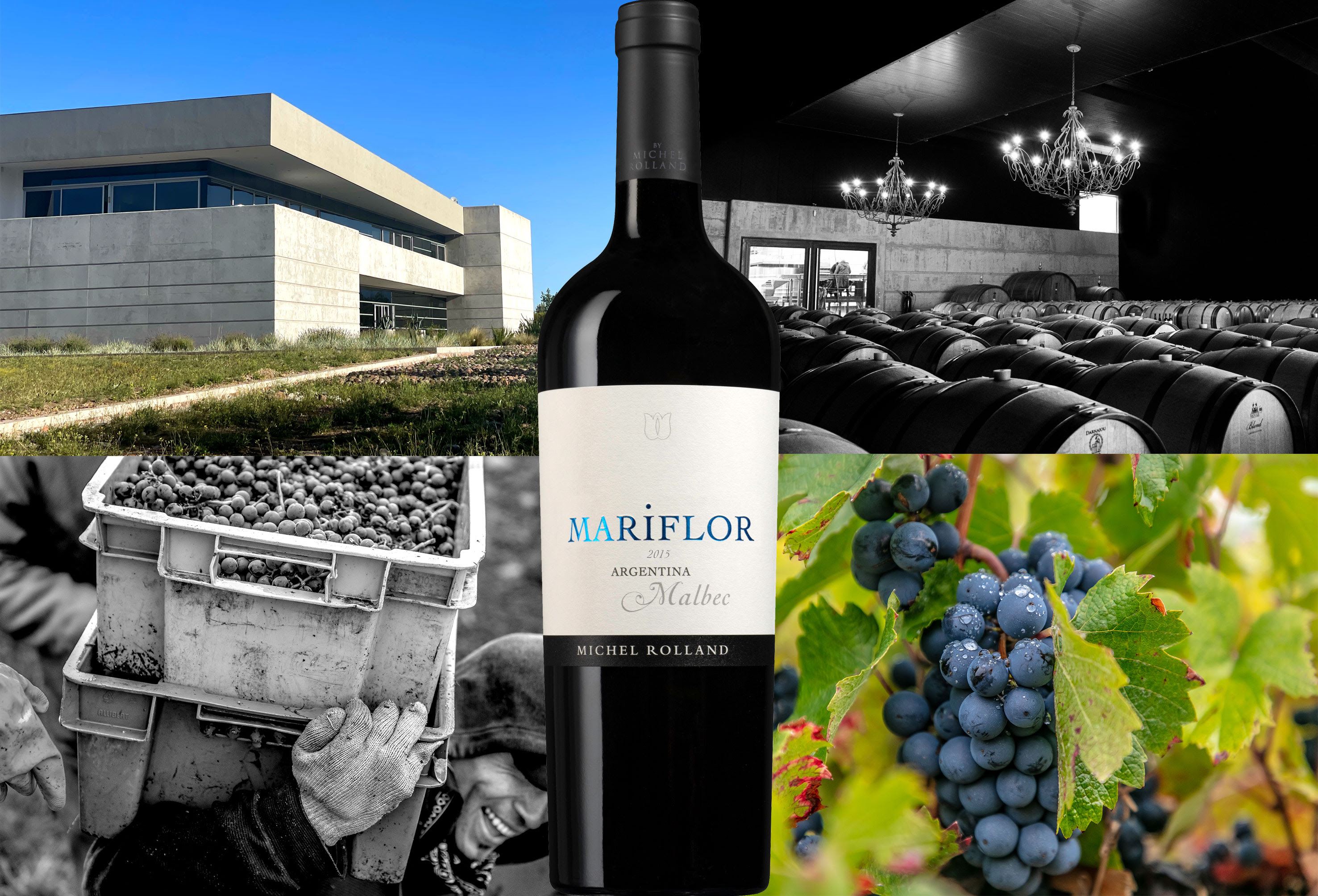 International Malbec day: 17th April 2022 – FrenchWineLove