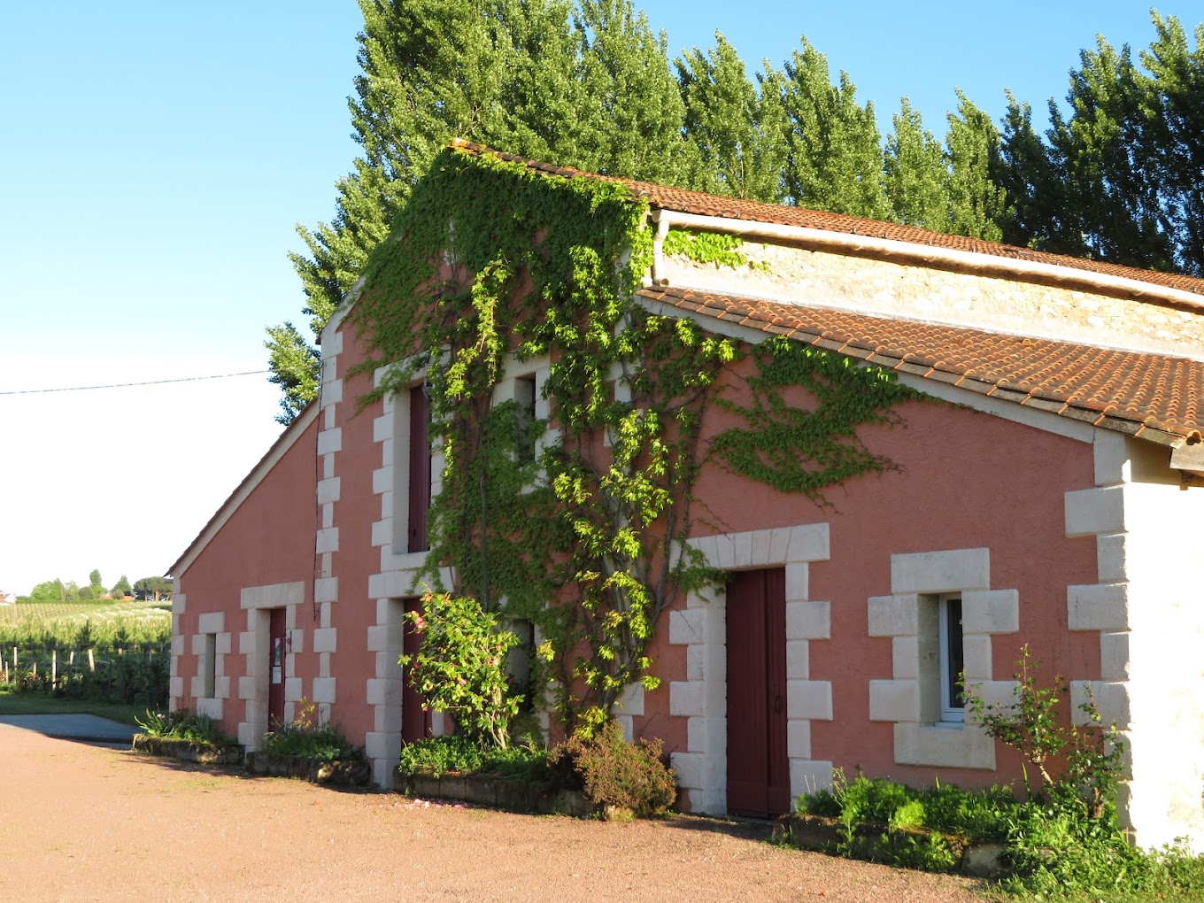 Vinobalade: dîner chez le Vigneron, Blaye Côtes de Bordeaux: 24 août ...